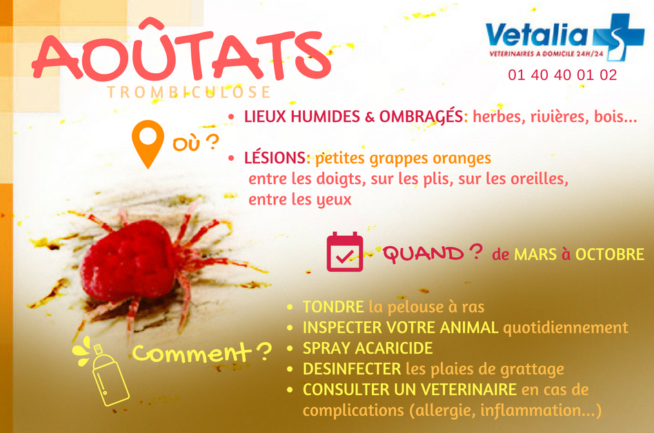 Que Sont Les Ao tats Et Comment S en D barrasser Que Sont Les Ao tats Et Comment S en D barrasser